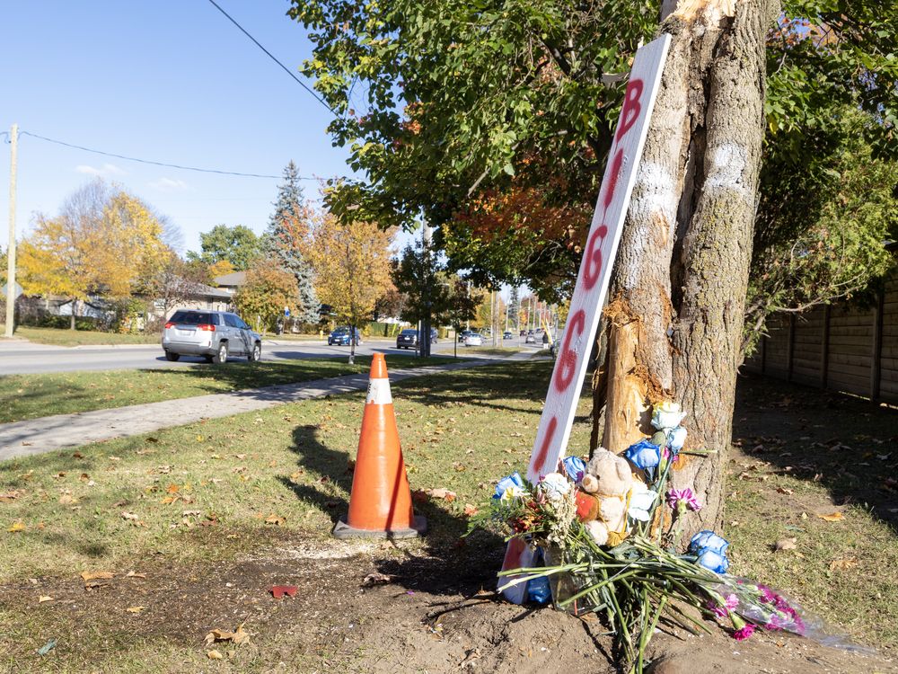 London's Cintro expands into former Beer Store to meet demand | London ...