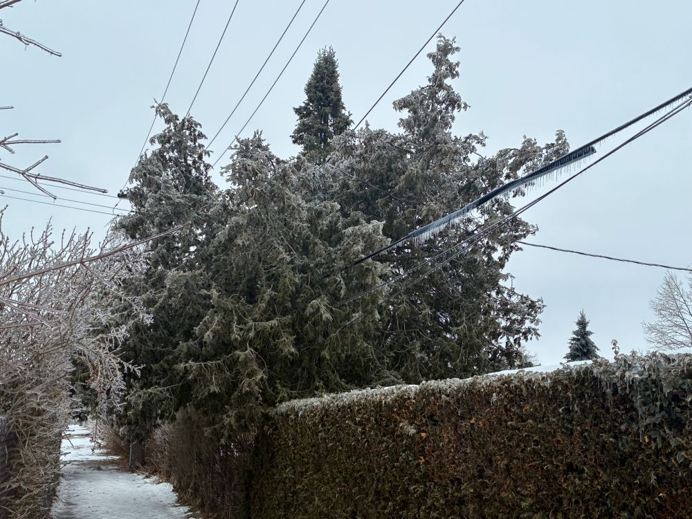Boxing Day ice storm leaves about 75,000 Londoners without power ...