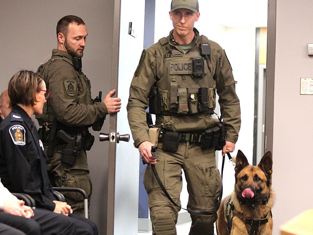 Three new dogs join London police canine unit | London Free Press