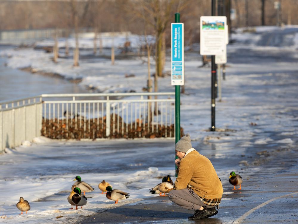 Conservation authority issues flood warning amid rain, warm spell ...