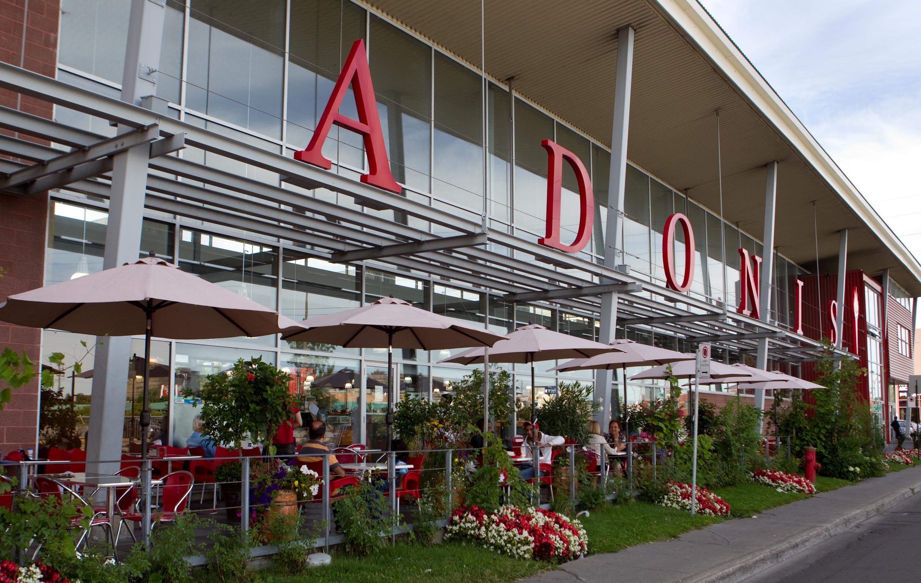 A taste of Adonis downtown? | Montreal Gazette