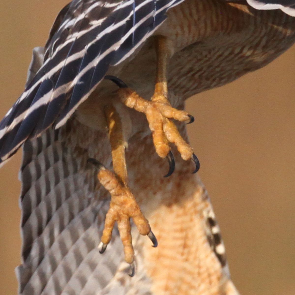 Auditor general points to litany of failings in Montreal | Montreal Gazette