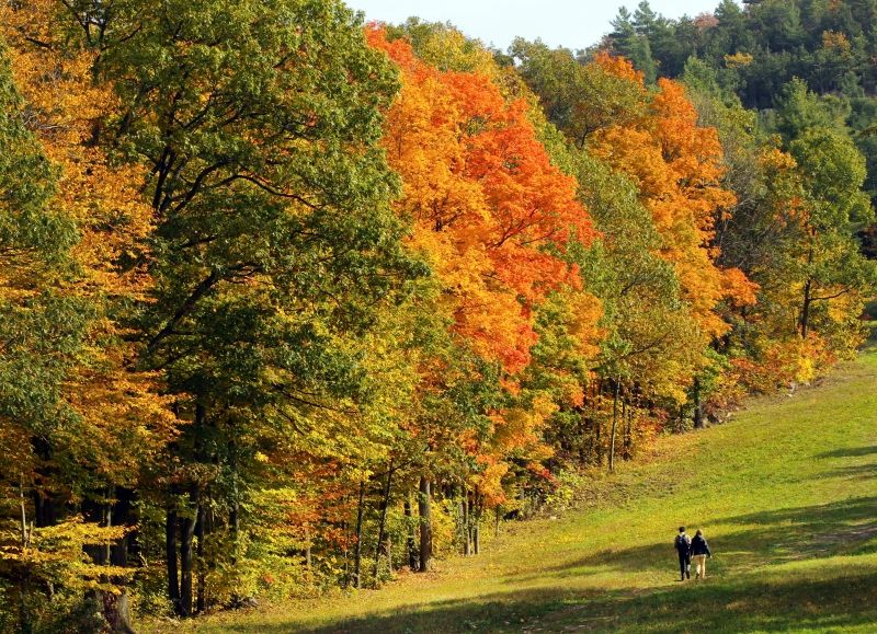 Mont Rigaud welcomes the fall season | Montreal Gazette