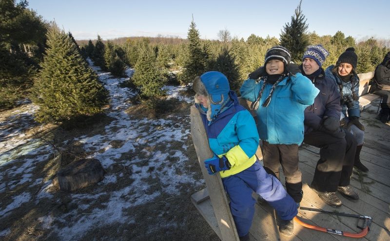 Quinn Farm's annual Old-Fashioned Christmas Fair is a family treat ...