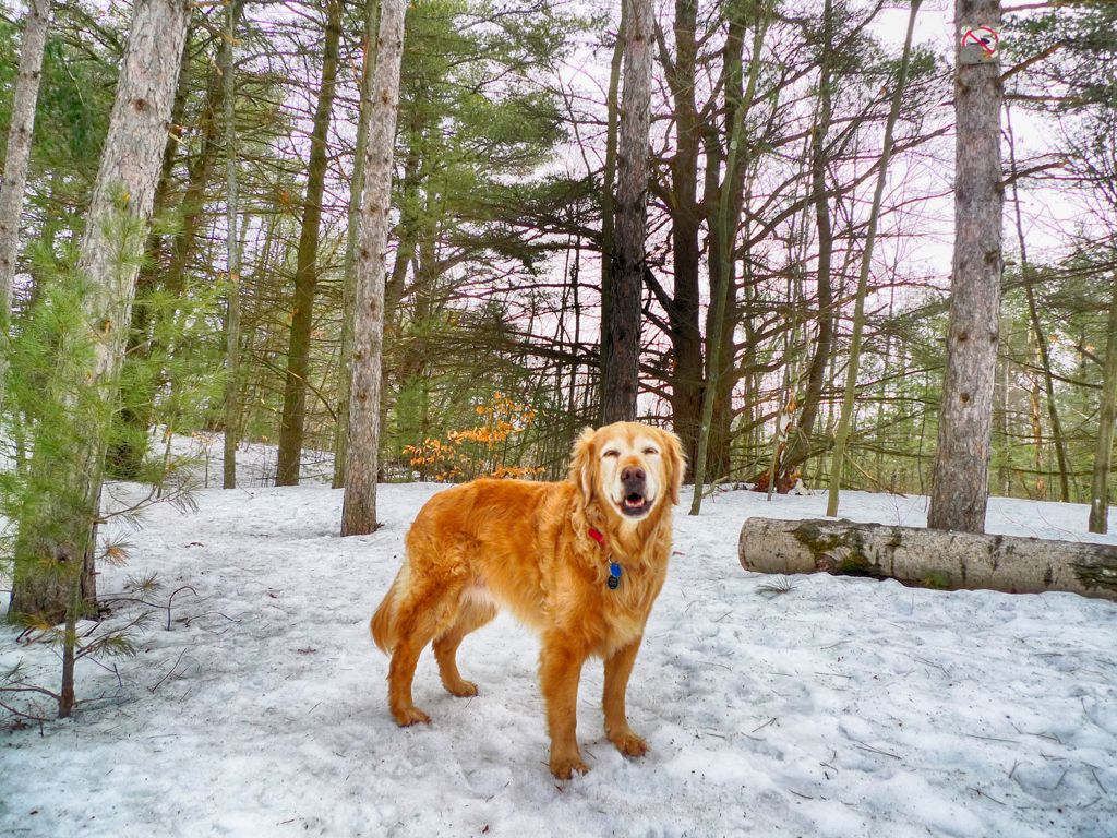 Table Talk: Lufa offers rooftop garden tours | Montreal Gazette