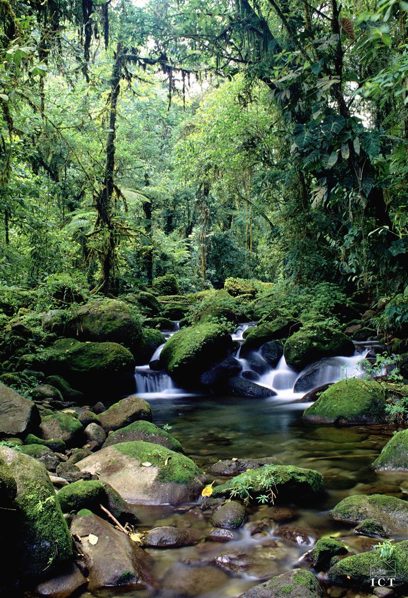 Sponsored Story: A Holiday in Costa Rica | Montreal Gazette