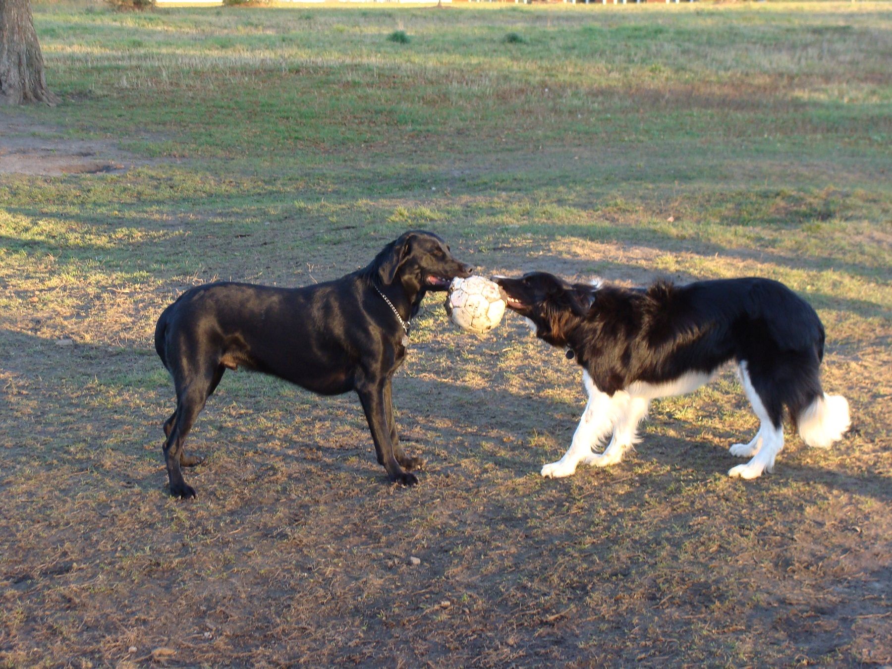 Four arrests connected to fake bank cards | Montreal Gazette