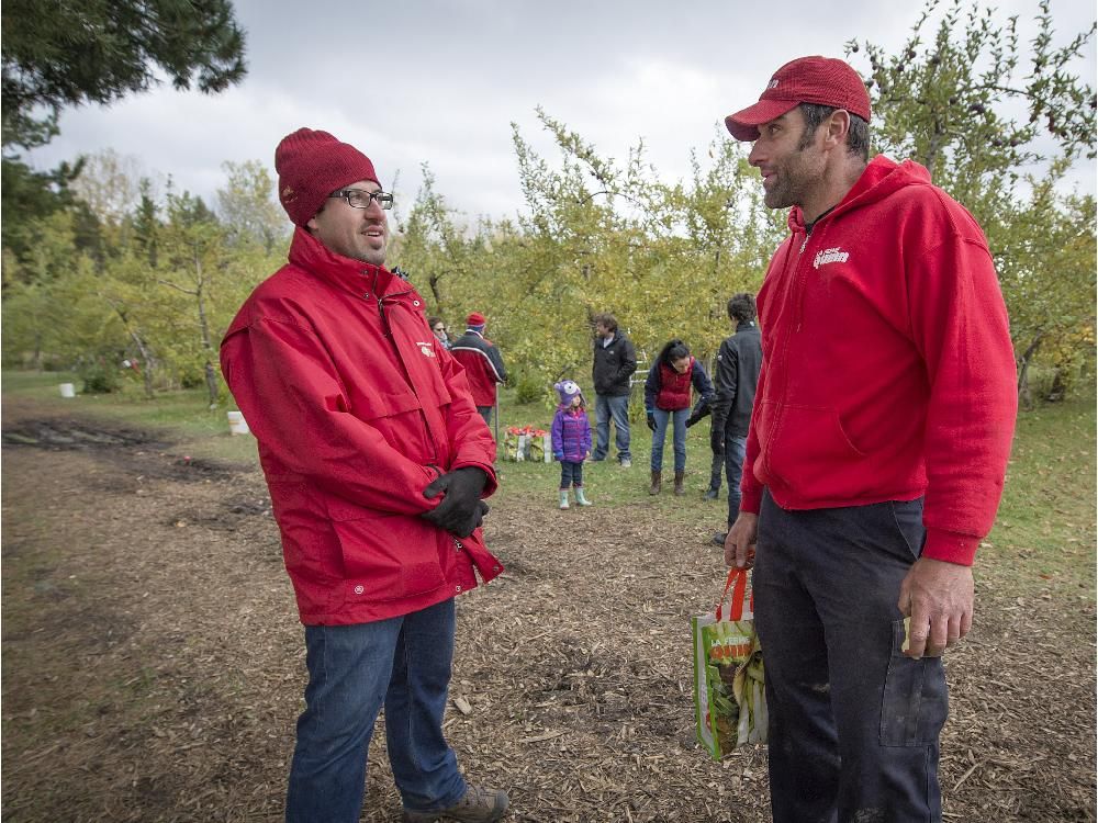 From apples to pumpkins, Quinn Farm attracts a growing clientele ...