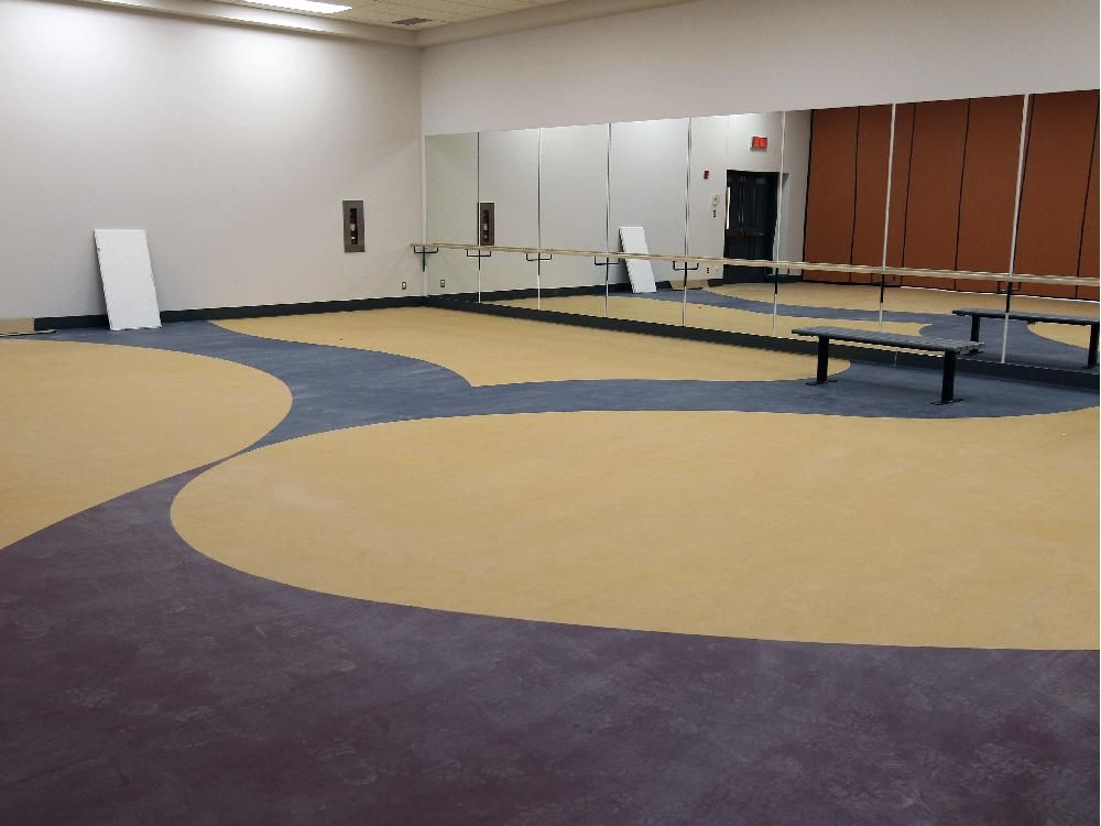 Gallery: Final touches being made at Dorval's new $20-million aquatic ...