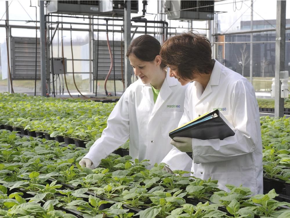 Medicago expands its Quebec City operations | Montreal Gazette
