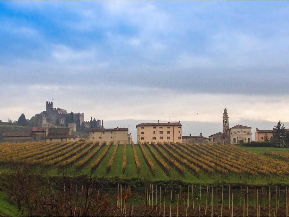 Wine: Soave wineries bringing out the best in garganega grapes ...
