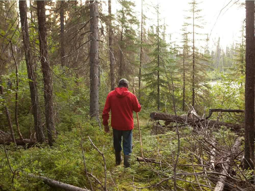 Waswanipi Cree of Northern Quebec make last stand to save their forest ...