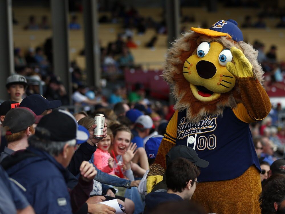 Quebec Capitales make baseball fun again | Montreal Gazette
