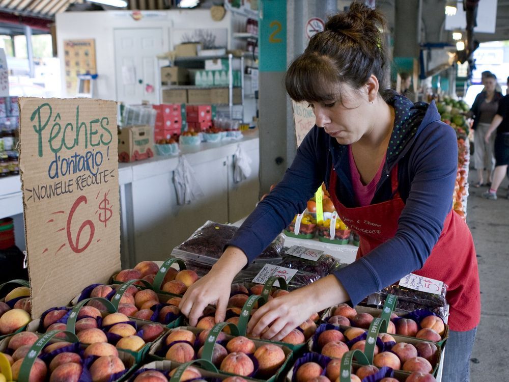 Best Buys: As fresh as can be: corn, lettuce, zucchini and peaches are ...