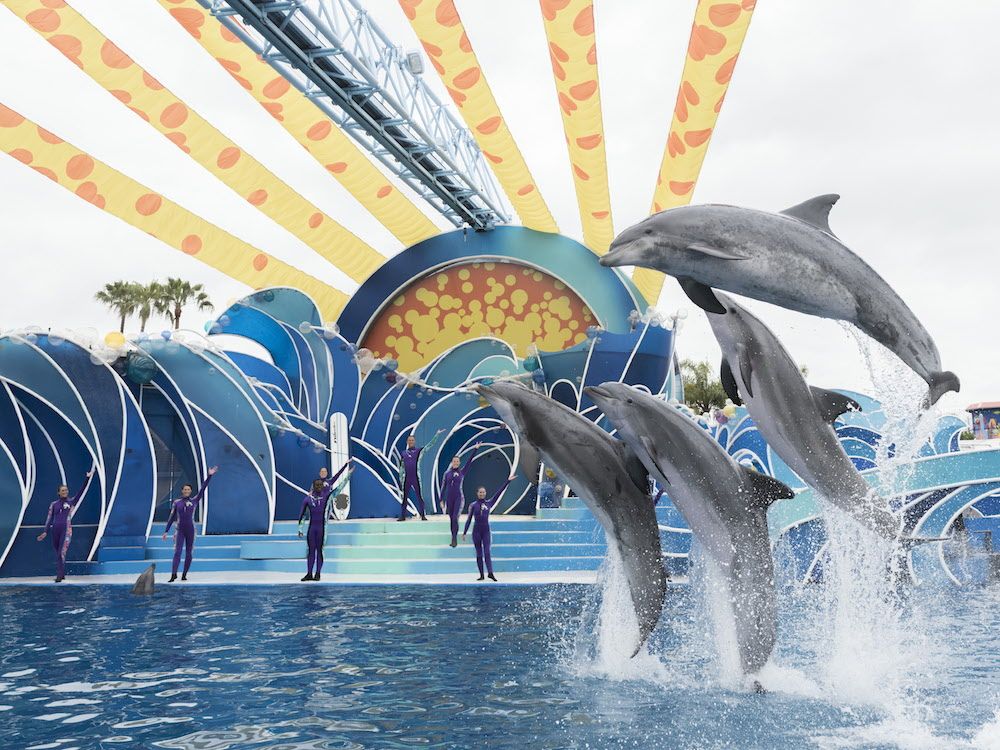 San Diego’s SeaWorld offers discount for Canadian residents | Montreal ...