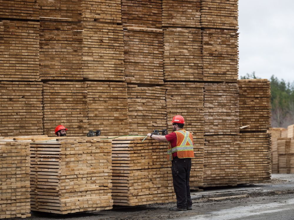 Quebec lumber workers among first hit by duty-inspired layoffs ...