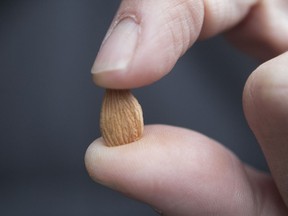 Superseed? Apricot kernels, touted as cancer cure, linked to cyanide ...