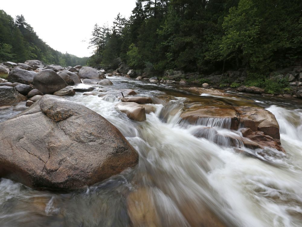 The Right Chemistry: So-called raw water poses real risks | Montreal ...