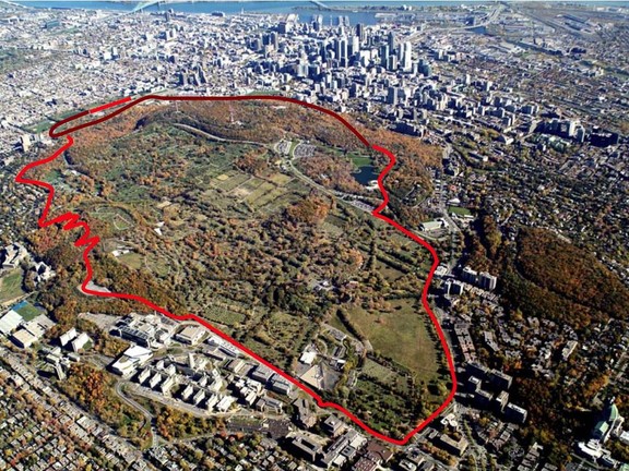 Hiking Mount Royal: Outremont Summit is a secret worth sharing ...