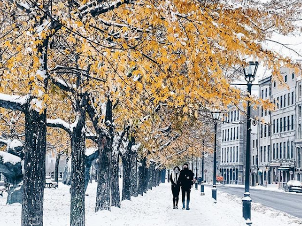 Montreal weather: Sunny and bitter cold | Montreal Gazette