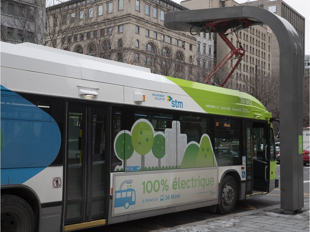 STM's fully electric buses set to return to service Sept. 15 | Montreal ...