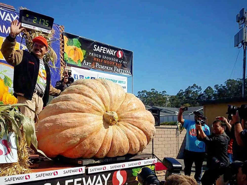 While you were sleeping: Heavyweight pumpkin weighs in at 2,175 pounds ...