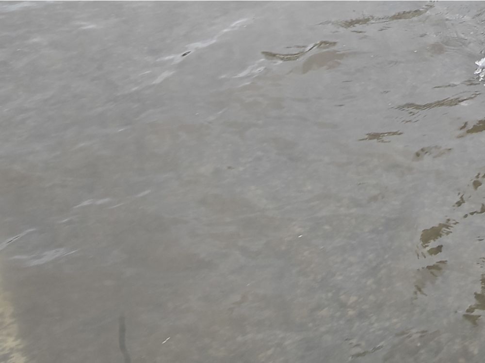 Environment ministry orders recycling company to stop leaking ...