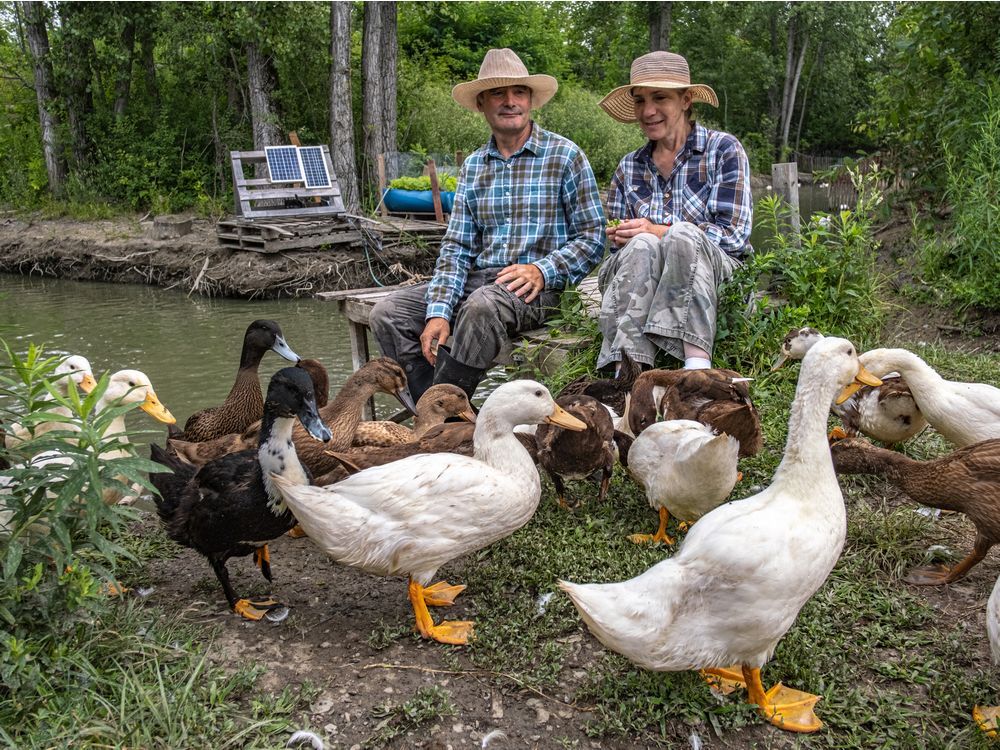 Farming at their own pace | Montreal Gazette