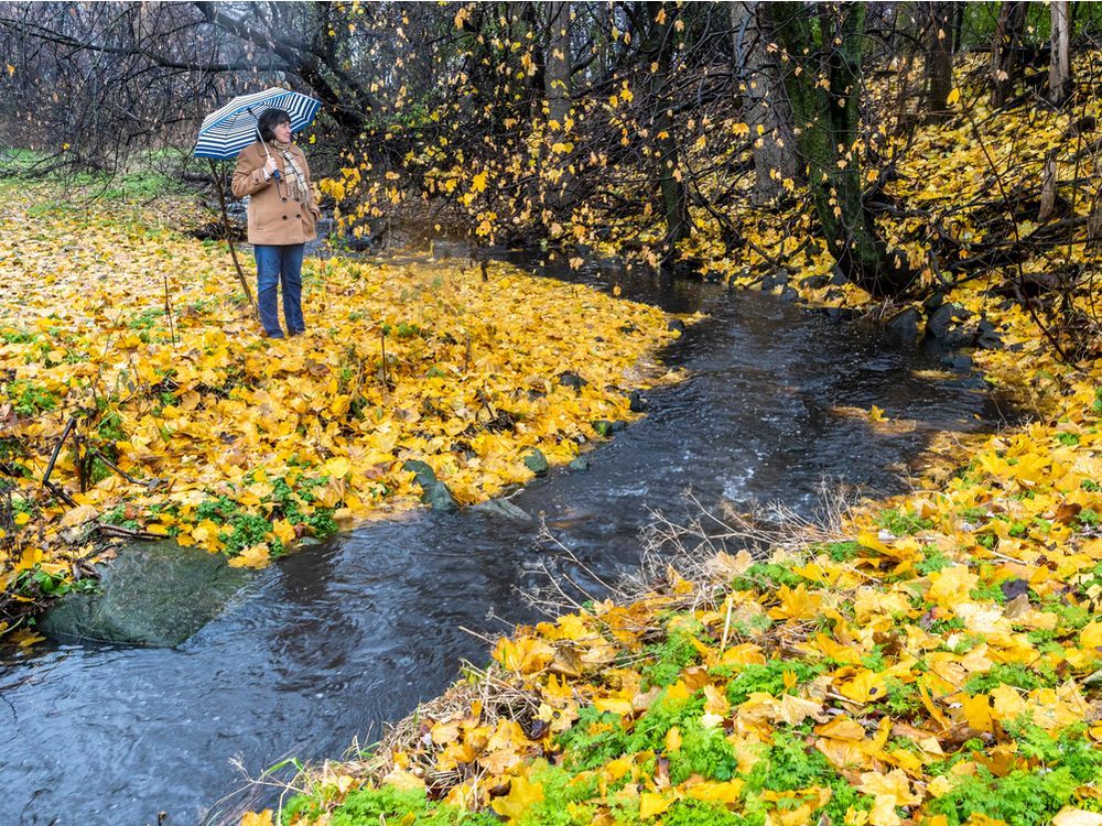 Montreal to bury St-Pierre River on Meadowbrook golf course | Montreal ...
