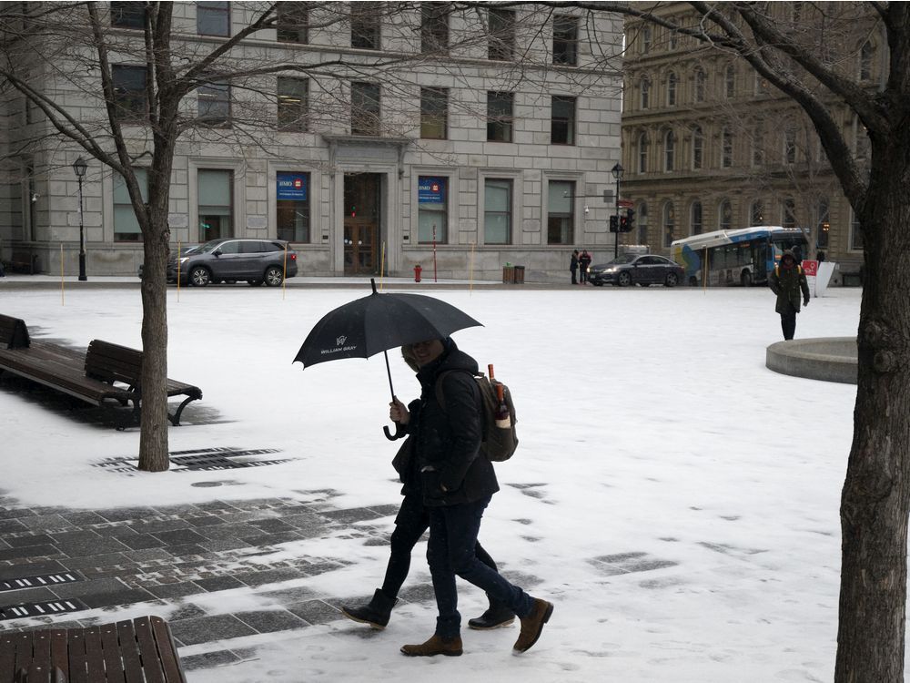 Montreal weather: It's 22022022. Happy 2s'day | Montreal Gazette