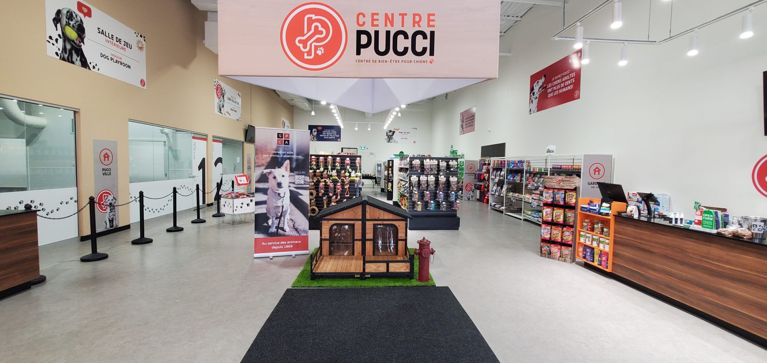 At Centre Pucci, dogs' comfort and health are the first priority ...