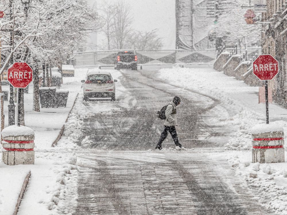 Montreal weather: The snow has fallen and it can't get up | Montreal Gazette