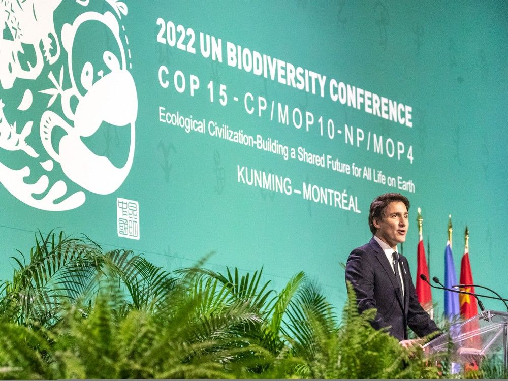 Opinion: At COP15, nature is counting on us | Montreal Gazette