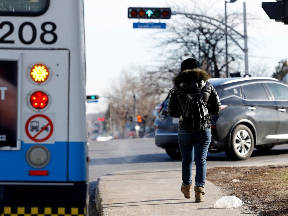 Pedestrian safety blitz in Laval targets 'risky' behaviour | Montreal ...