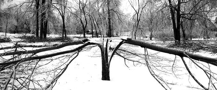 25 years later, solidarity shown during 1998 Ice Storm stays with ...
