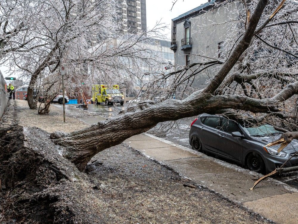 Quebec ice storm saw thousands of fallen branches and trees | Montreal ...