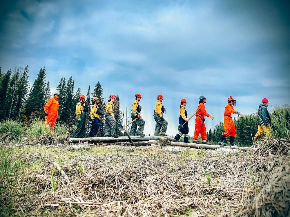 Quebec has eased forest restrictions, opened some logging roads ...