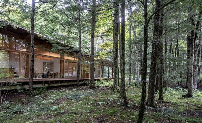 Photos: Art and nature meet at the Grantham Foundation | Montreal Gazette