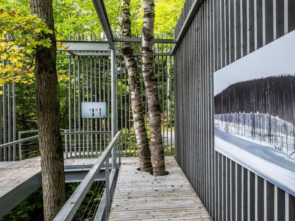 Photos: Art and nature meet at the Grantham Foundation | Montreal Gazette