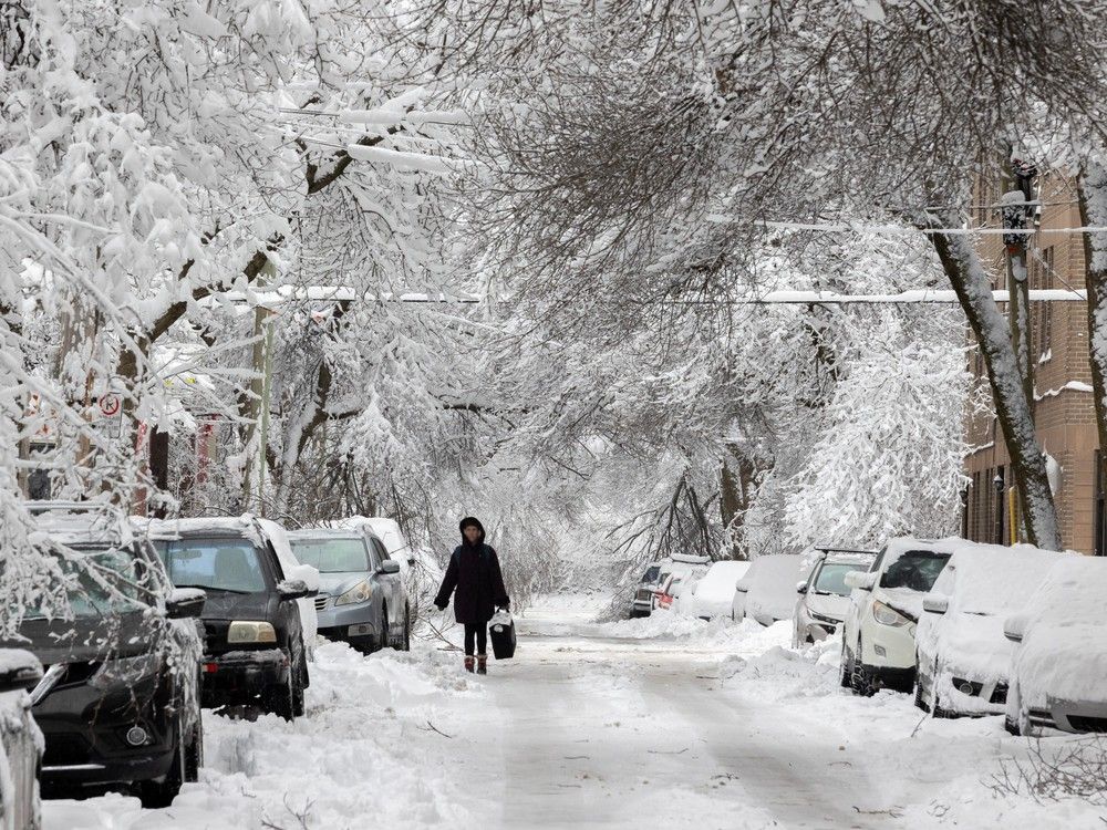 Photos: Snowstorm in Montreal | Montreal Gazette