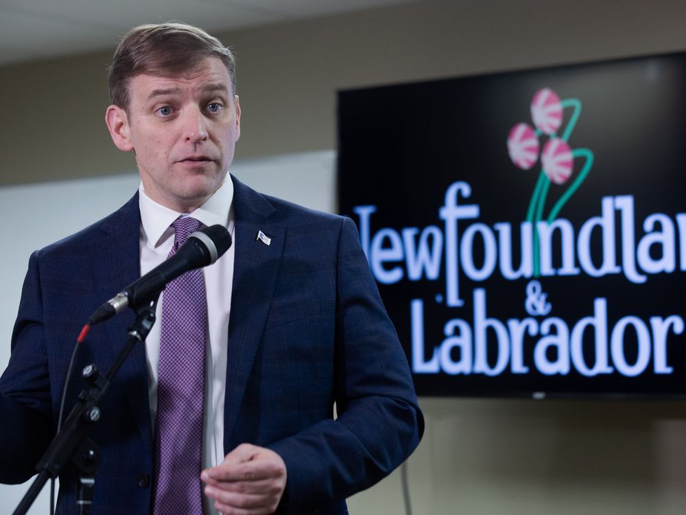 Wildfire in Labrador jumps Churchill River, generating station being ...