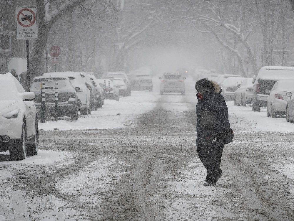 Kings of Coke tells the tale of Montreal's infamous West End Gang ...
