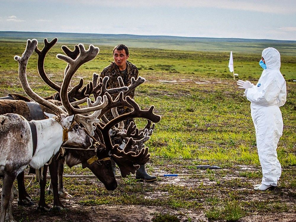 The Right Chemistry: Bacteria are fearsome, especially when weaponized ...