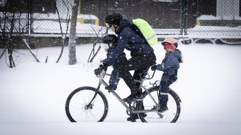 Power expected to be restored to most customers by end of day: Hydro ...