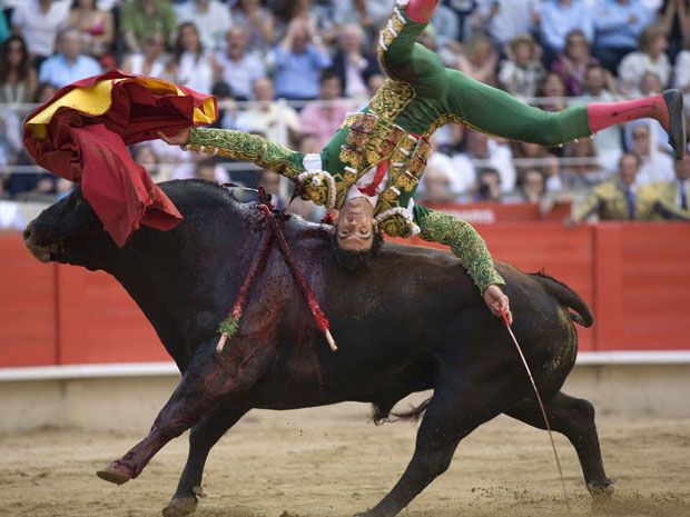 Spain's Catalonia outlaws bullfighting | National Post