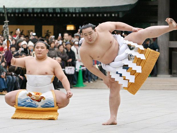 Apple's iPad a solution for fat-fingered sumo wrestlers | National Post