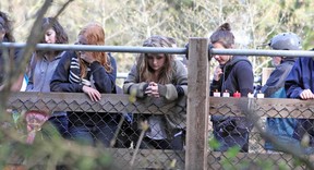 Kimberly Proctor murder leaves lingering tragedy | National Post