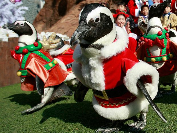 Post Picks: Your guide to the holiday rush and beyond | National Post