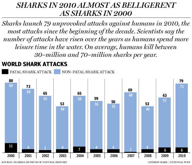 Graphic: Shark attacks on the rise worldwide | National Post