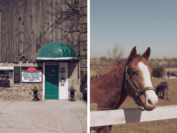 Field Trip: Morden's Organic Farm Store | National Post